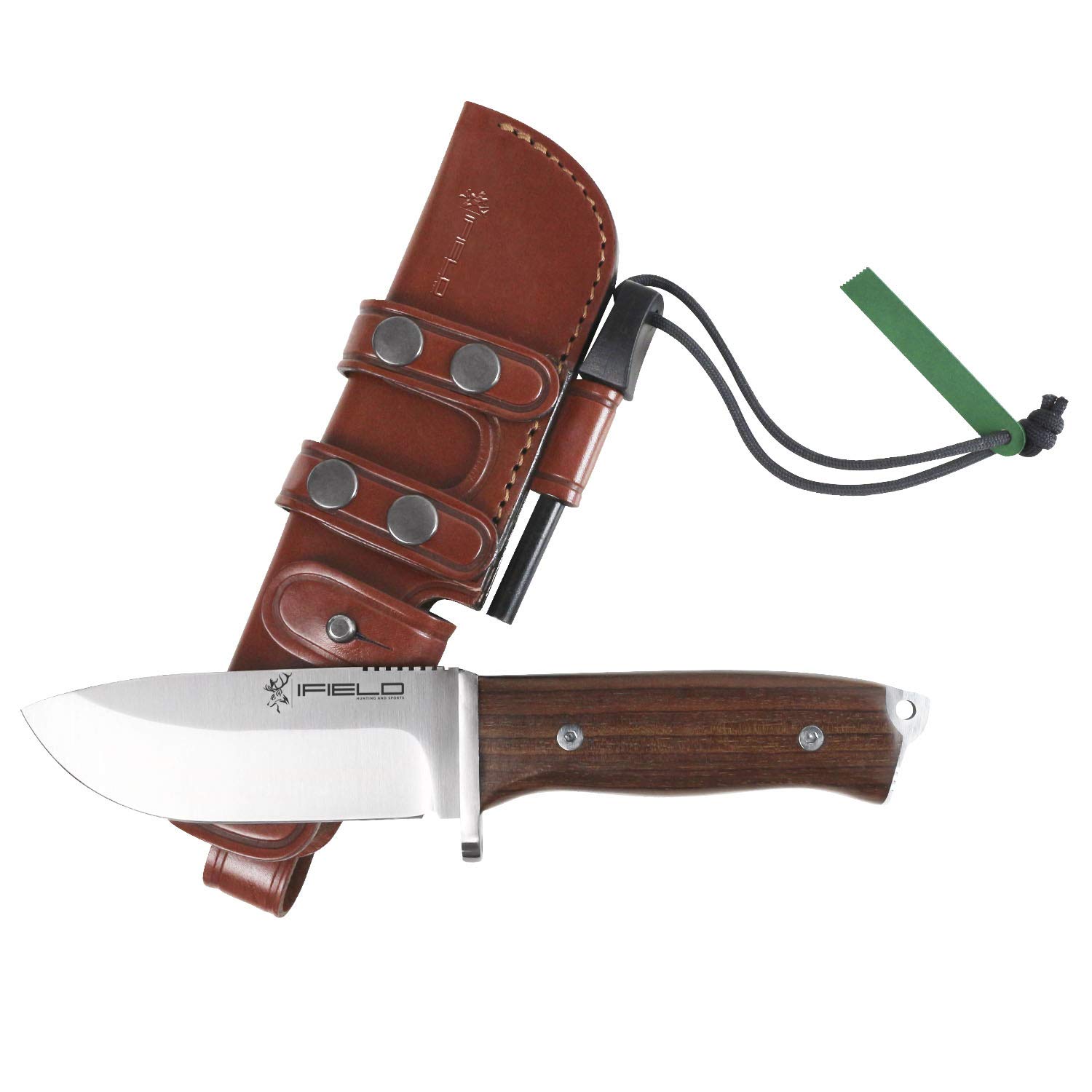iFIELD Hunting Knife Workout EL29105, 4.6 inch MOVA Satin Blade, Cocobolo Handle, with Brown Leather case, Camping Tool for Fishing, Hunting, Sport Activity