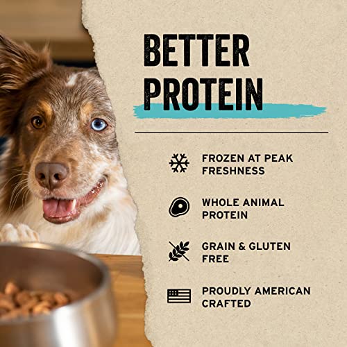Vital Essentials Freeze Dried Dog Treats, Raw Minnows Treats for Dogs 2.5 oz