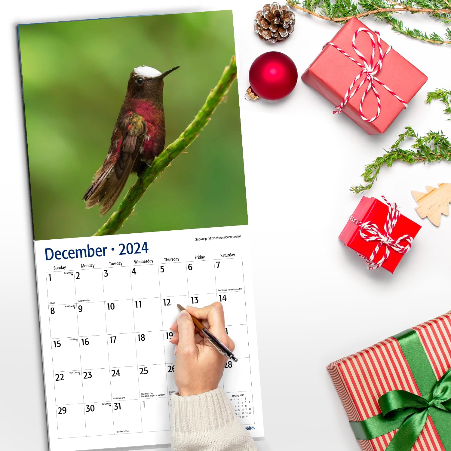 Hummingbirds 2024 Hangable Monthly Wall Calendar by Red Ember Select Series | 12" x 24" Open | Thick & Sturdy Paper | Giftable | Garden | Stunning Creatures of Flight