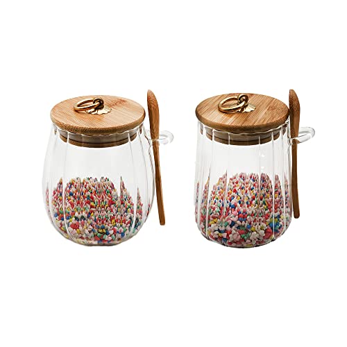 WEIRUIFANZHI 2 Pack Small Glass Coffee Jars set Canister with Bamboo Lid&spoon Petal Decorative Container with Metal Handle&scoop Airtight Storage jar Easy to Grasp for Nuts,Tea,Candy,Cookies(23.7OZ)