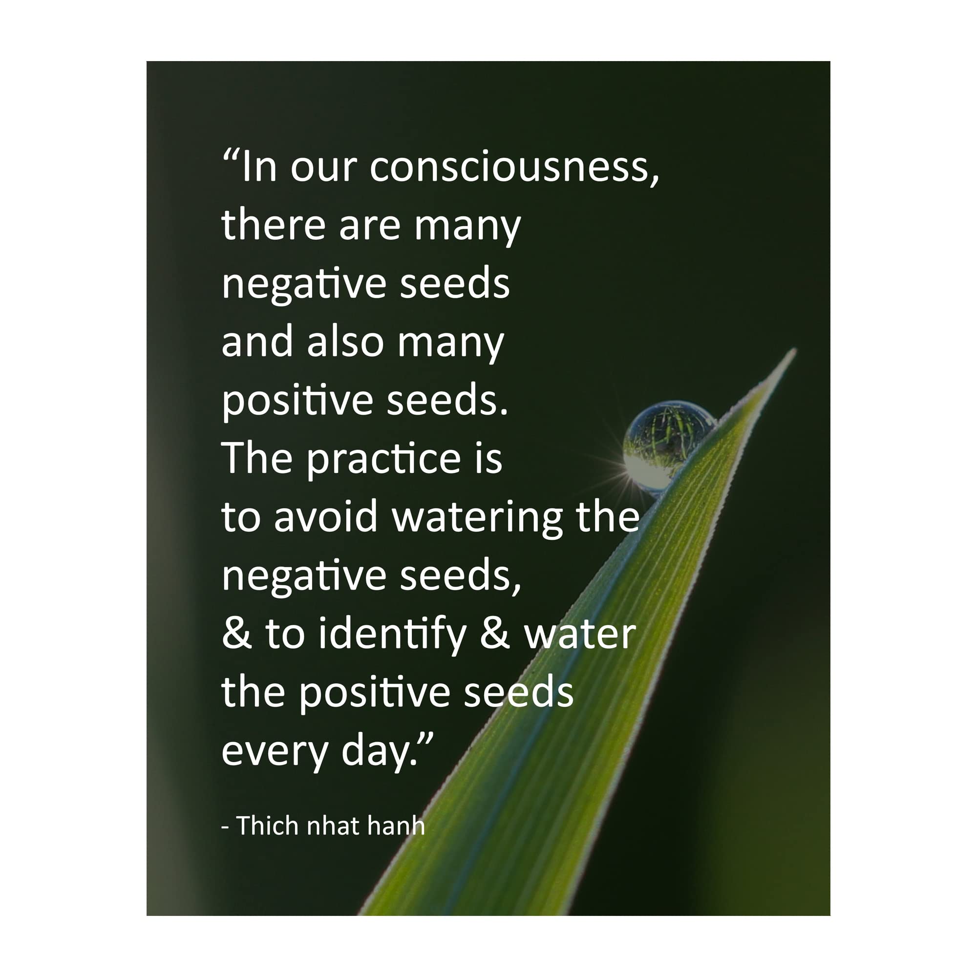 Identify And Water The Positive Seeds Every Da -Thich Nhat Hanh Positive Affirmation Wall Art, Spiritual Wall Decor Print For Home Decor, Office Decor, Apartment Decor, or Zen Room, Unframed - 8x10