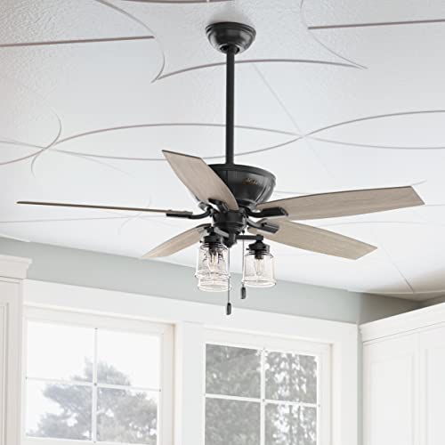 Hunter Fan Company 50403 Charlotte Ceiling Fan, 52, Matte Black Finish