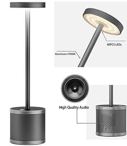 JALVDE Rechargeable Desk Lamps LED Light Battery Dining Lamp, Outdoor Decorative Task Lights for Restaurant, Dinner, Patio