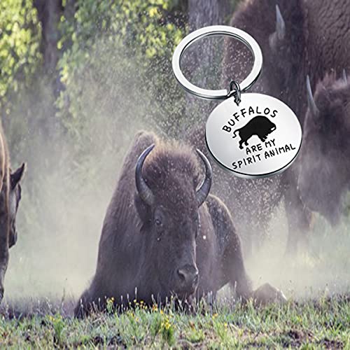 Lywjyb Birdgot Buffalos Are My Spirit Animal Keychain Funny Animal Lover Gift (Buffalos ky)