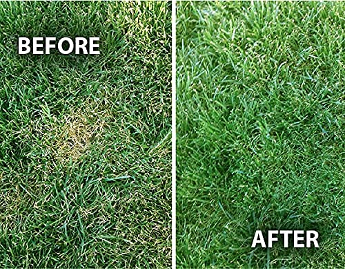 Liquid Harvest Grass Paint, 32oz Ready to Use Packaging and Formulation Designed to Cover Dog Urine Spots, Enhance Patchy, Dormant or Yellowing Grasses