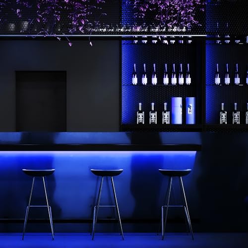 iNextStation Blue 16.4ft Neon LED Strip Lights, Flexible & Waterproof, Cuttable & Dimmable, IP65, 600 SMD LEDs, 12V Direct Current, Suitable for Indoor and Outdoor Use