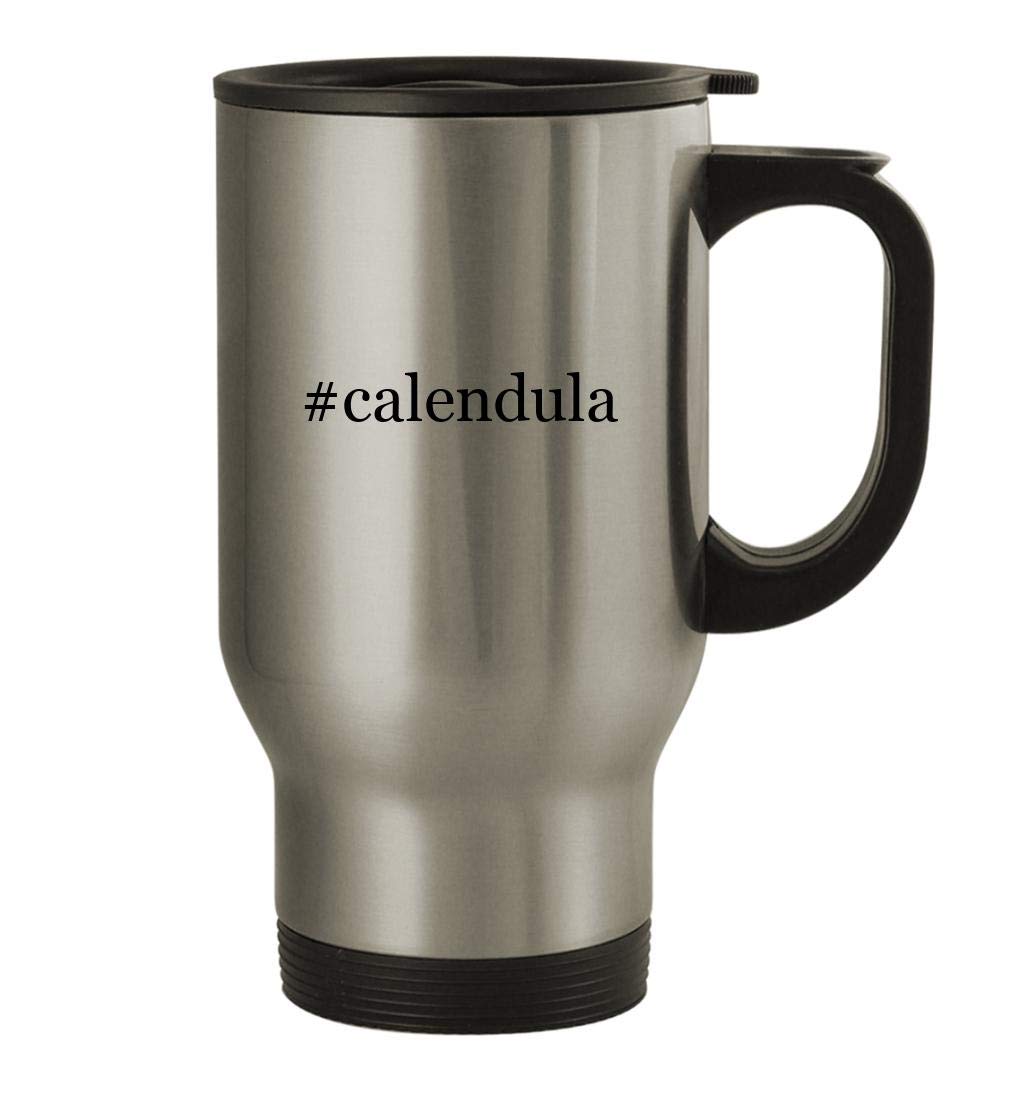 Knick Knack Gifts B04Y20D02W008202M04T64C18S21C-US - 14oz Stainless Steel Travel Mug, Silver