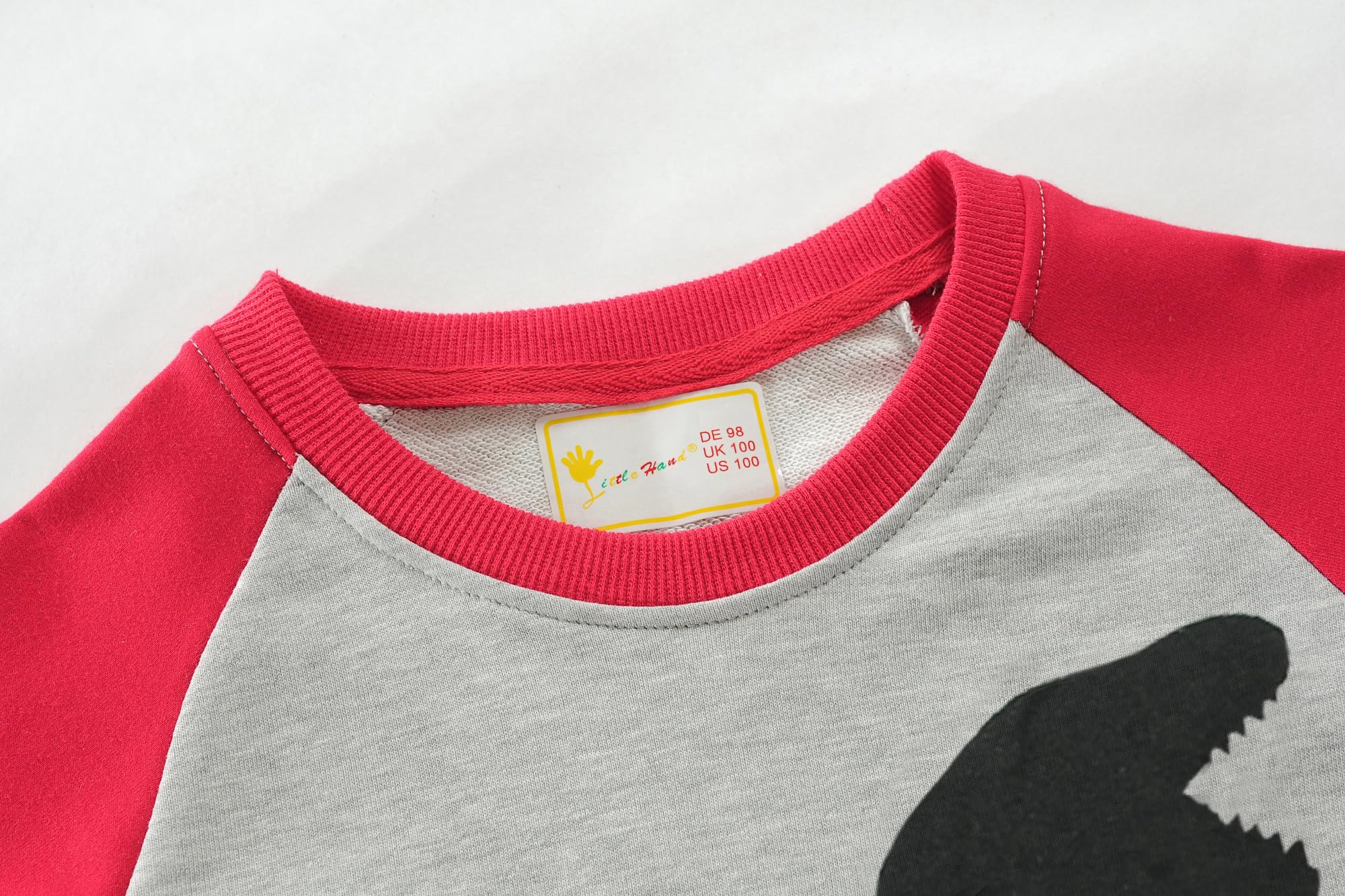 Little Hand Toddler Boys Valentine's Day Clothes Dinosaur Sweatshirt Pullover Long Sleeve Shirts 3t