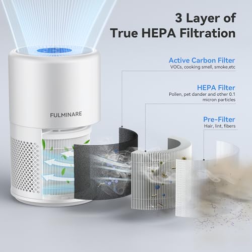 Original FULMINARE T10 Air Purifier Replacement Filter, 3-In-1 Filter, Efficiency Activated Carbon, Filtering Out 99.99% 0.01 Microns, Smoke, Pollen, Particles