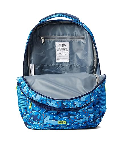 Western Chief Multi Compartment Backpack Bundle w/Lunch Box & Pencil Pouch Sharks One Size