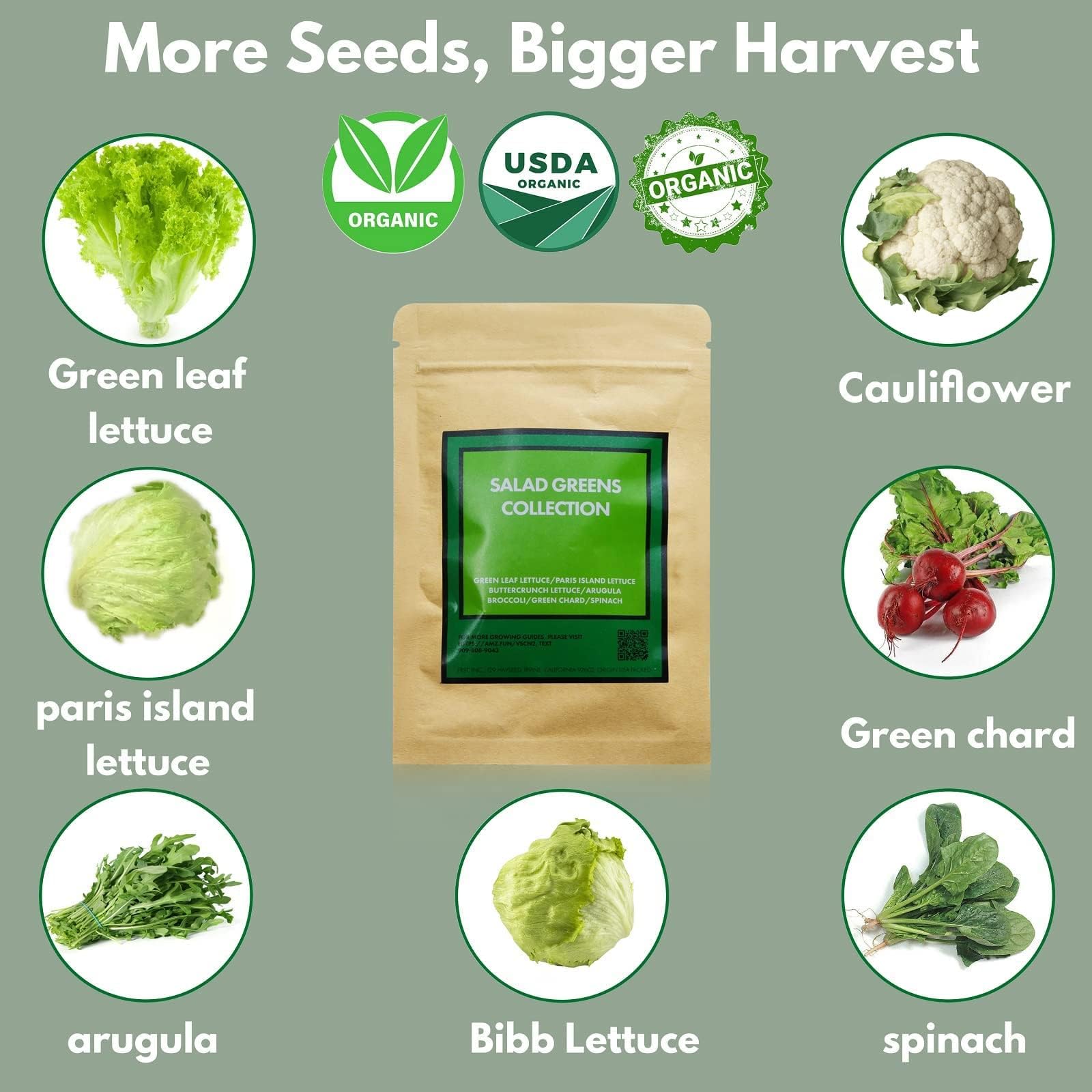 Heirloom Salad Greens Pod with Seed, 12-Pods(350 Seeds+, Include Green Leaf Lettuce, Paris Island Lettuce, Buttercrunch Lettuce, Arugula, Broccoli, Green Chard, and Spinach)