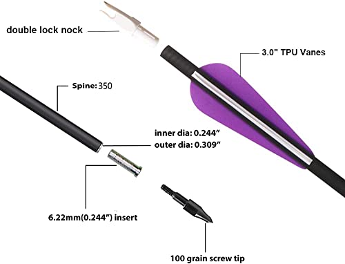 IRQ Archery 31Inch Carbon Arrow Practice Hunting Arrows with Removable Tips for Compound & Recurve Bow(Pack of 12)