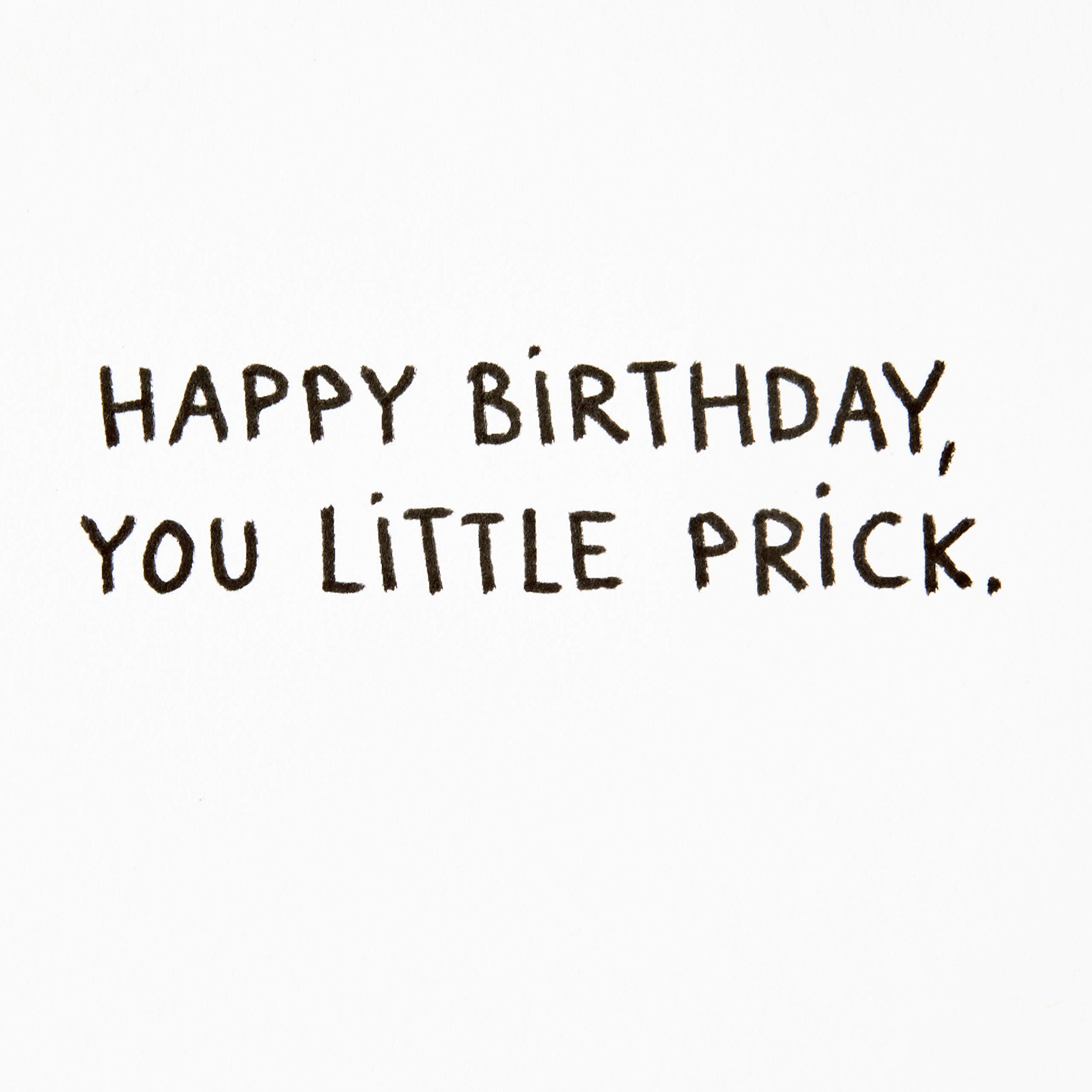 Hallmark Shoebox Funny Birthday Card (Cats Don't Care That It's Your Birthday)