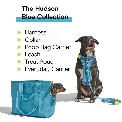 Wild One, Limited Edition, Designer Collection, Dog Harness, No-Pull Pet Harness with 3 Leash Clips, Adjustable Soft Padded Dog Vest, Comfortable, Stretchy, Medium, Blue