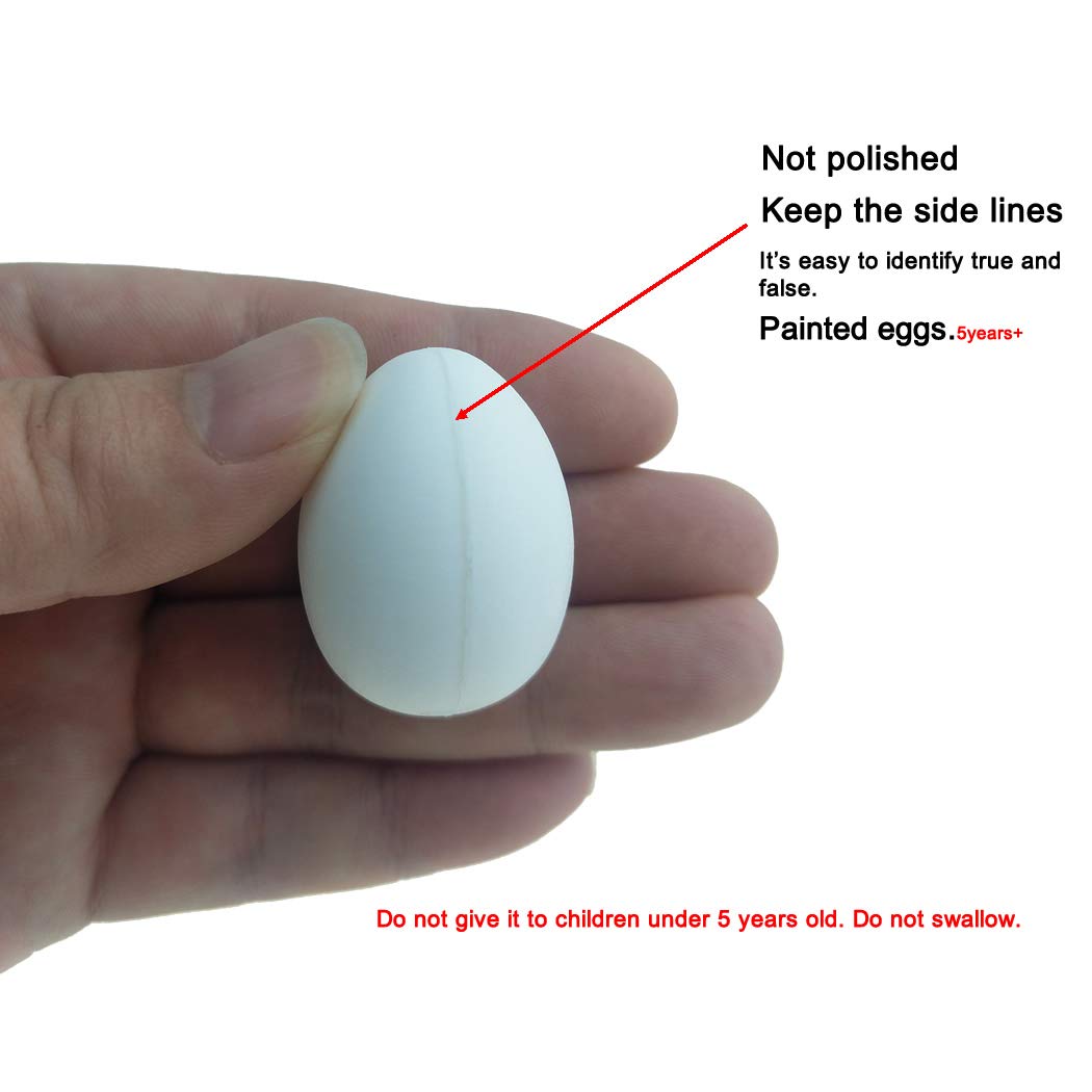 Huwaimi 13g Solid Plastic Eggs Dummy Eggs for Racing Pigeons (White 42pcs)