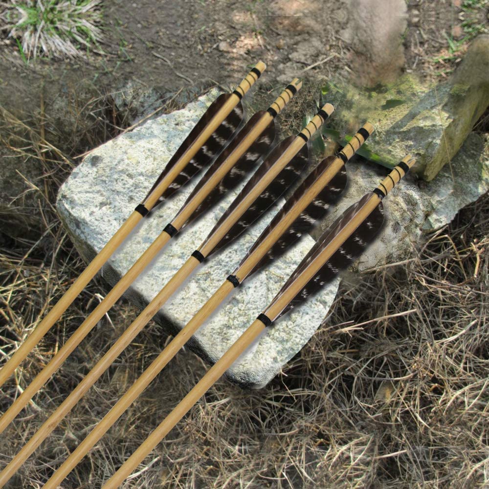 Huntingdoor 12 Pcs Turkey Feather Fletching Wooden Arrows Archery Target Arrows with Field Points for Recurve Bow or Longbow Targeting Practice Shooting (NATURE)