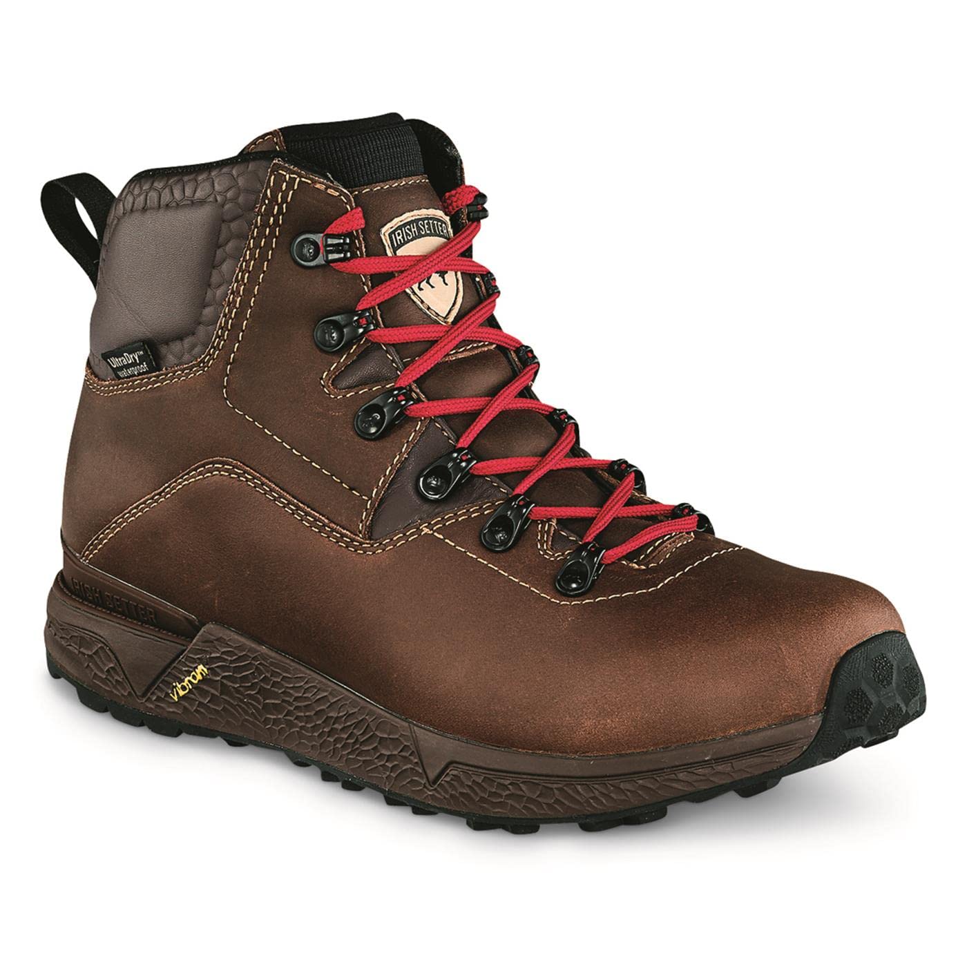 Irish Setter mens Canyons Hiking Shoe, Brown, 12 US