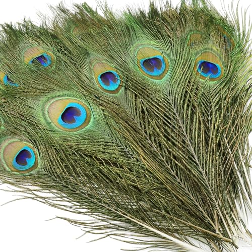 iHUFeather 10PCS Real Natural Peacock Eye Feathers 10-12 inch for DIY Craft Floral Arrangements,Wedding,Home and Party Decorations Feathers,Natural