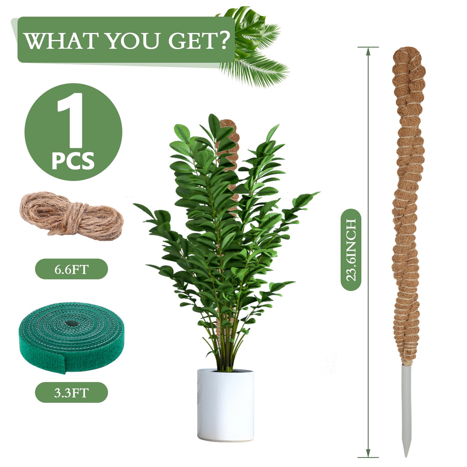 Moss Pole for Plants Monstera - 25 Inch Plant Stakes for Indoor, Moss Poles for Climbing Plants, Handmade Coco Coir Pole Plant Support for Creeper Plants Grow Upwards(Single)