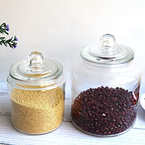 Woaiwo-q 35 oz Glass Jars, Glass Storage Container with Glass Lid for Biscuits, Candy, Dry Goods, Beans, Cookie Jar with Lid for Home & Kitchen (Set of 6)