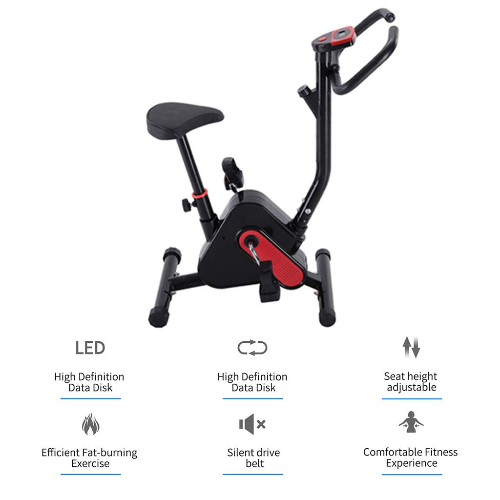 Indoor Exercise Bicycle Ultra-quiet Exercise Bike Home Bicycle Fitness Equipment for Home Gym Cardio Workout