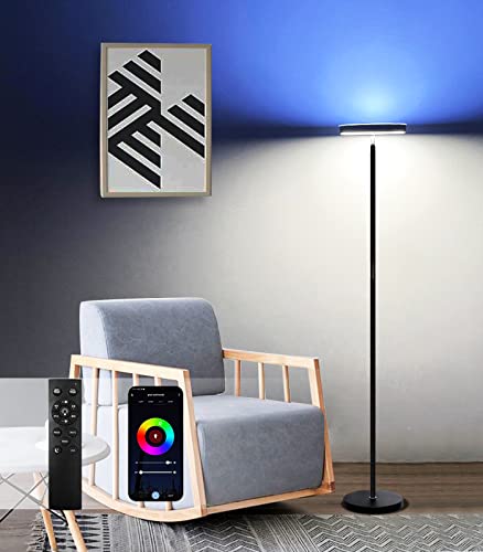 Hyskostar 2 Side Lighting Led Floor Lamp with Remote & Touch Control 24 W 1000LM, Dimmable 3 Color Temperatures,Tall Standing RGB Floor Lamps for Living Room,Bedroom