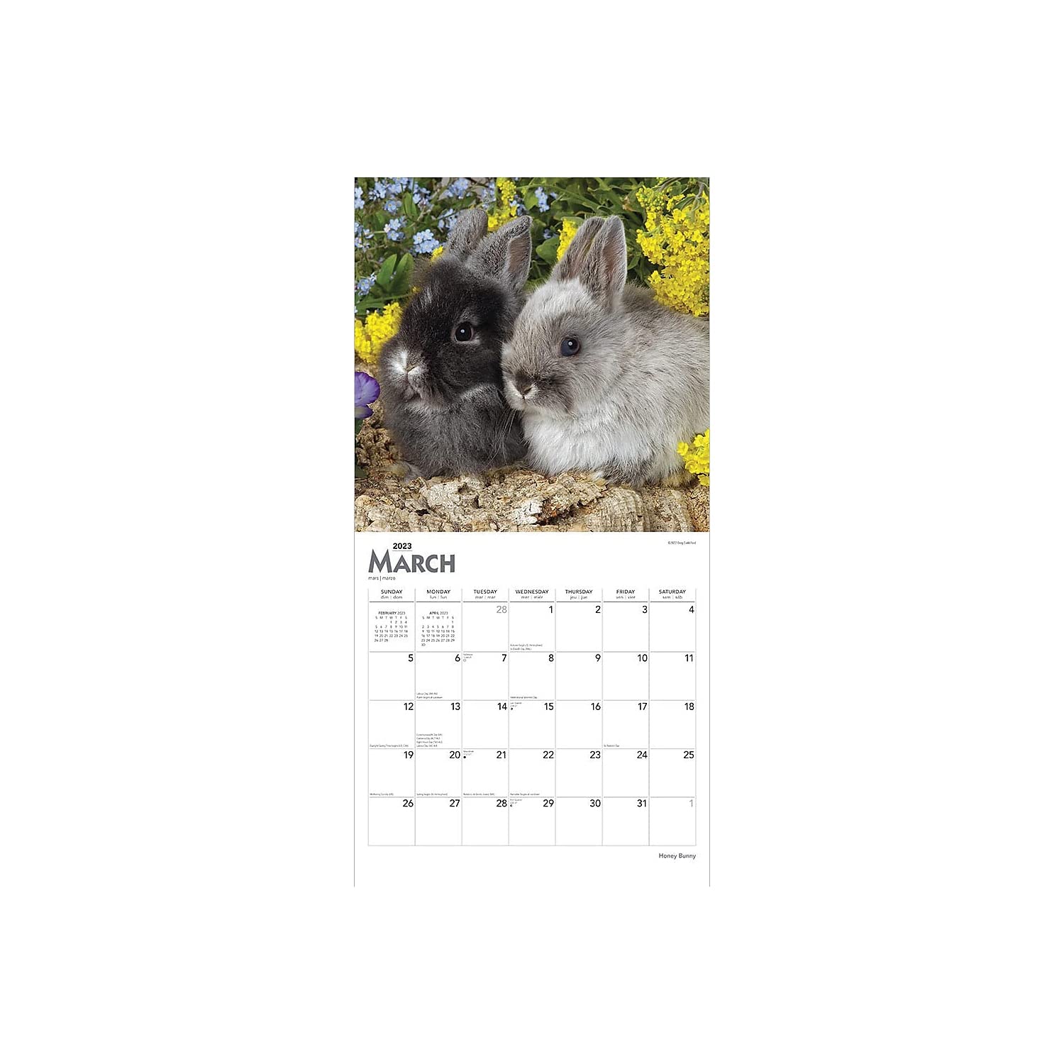 Honey Bunny | 2023 12 x 24 Inch Monthly Square Wall Calendar | BrownTrout | Domestic Small Cute Animals