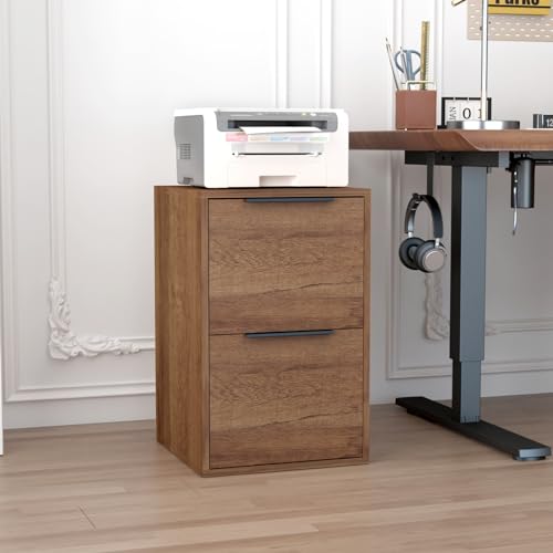 LUCYPAL Wooden File Cabinet 2 Drawer,Vertical Storage Filing Cabinet with Hanging Bars for Letter Size,File Storage Cabinet Used for Home Office, Brown