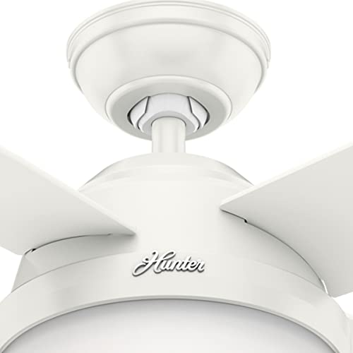 Hunter Dempsey Indoor Ceiling Fan with LED Light and Remote Control, 44", White