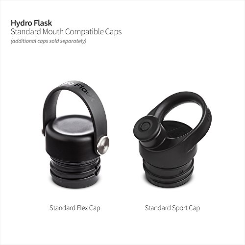Hydro Flask 21 oz. Water Bottle - Stainless Steel, Reusable, Vacuum Insulated with Standard Mouth with Sport Cap , Carnation