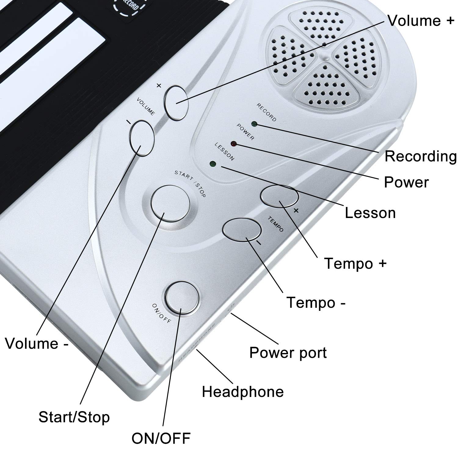 Homend Roll Up Piano for Kids Beginners, Travel Foldable 49 Keys Flexible Electronic Hand Roll Piano Built-in Speaker Environmental Silicone Piano Keyboard