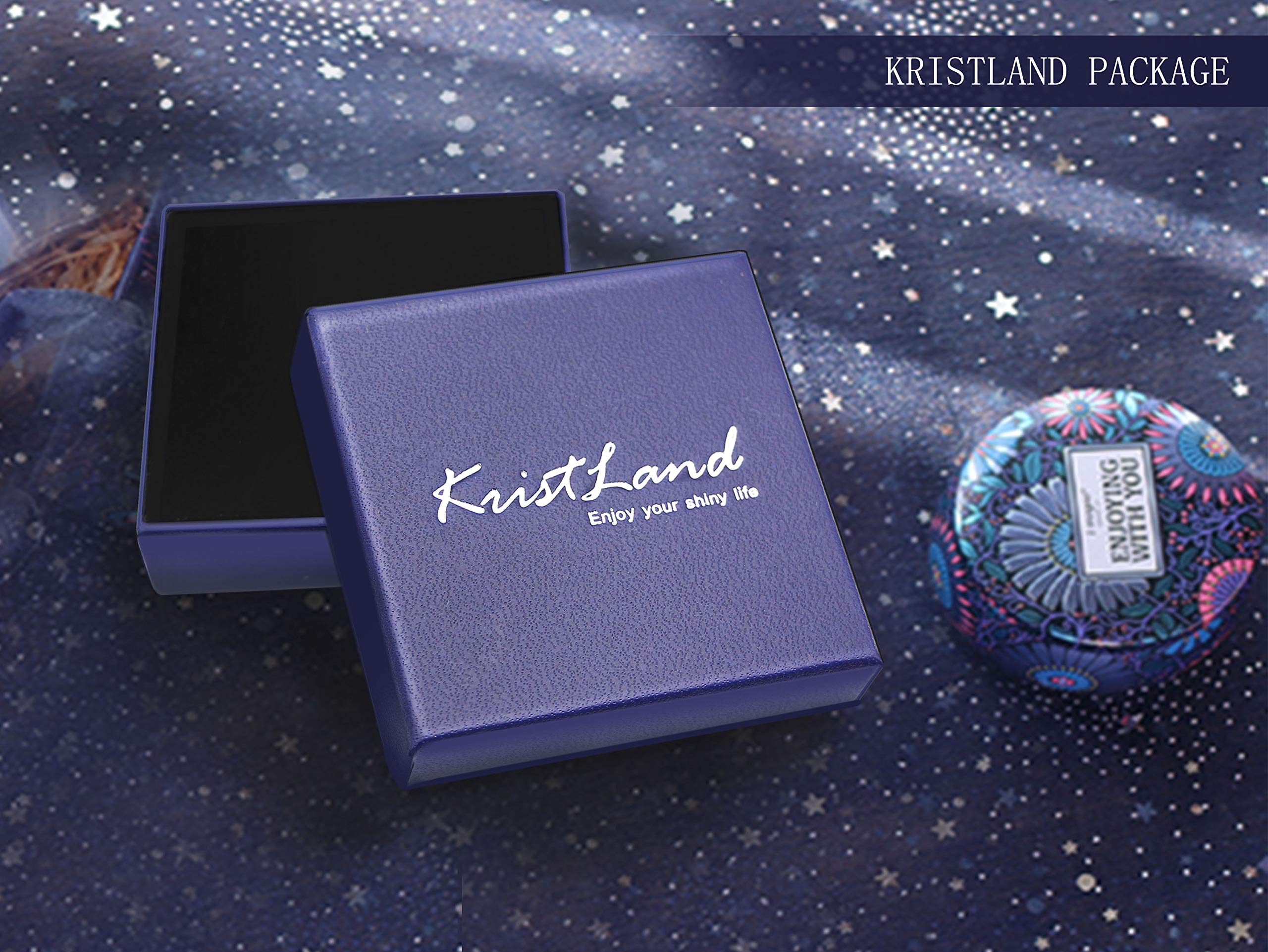 KristLand - S925 Silver/Alloy Hook Sleek Chain Tassel Drop Earrings Long Crystal Fringe Dangle Simple Dainty Earrings Tassel Earrings A Zircon Silver