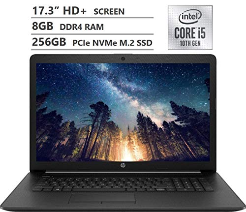 HP Laptop, 17.3-inch HD+ Screen, 10th Gen Intel Core i5-1035G1 Quad-Core Processor up to 3.60GHz, 8GB DDR4 RAM, 256GB PCIe NVMe M.2 SSD, Wireless-AC, Bluetooth, Windows 10 Home, Black (Renewed)