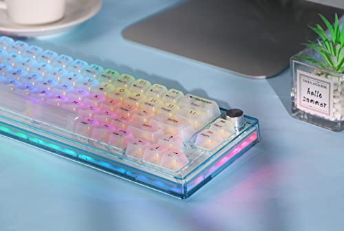 MechLands MC66 65% Hot Swap Programmable RGB 2.4Ghz/ Bluetooth/USB-C Wireless Gaming Keyboard with Double Sound Absorbing Silicone Pad, 4000mAh Battery for Win/MAC/iOS(White, Flamingo Switch)