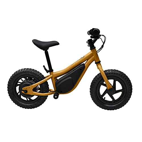 Massimo Motor E-11 Electric Bike for Kids 150 Watt, Age 3-8 yrs, 12in Wheels, Throttle Accelerate Adjustable Seat (Orange)