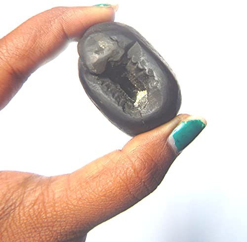 XUETZALCOATL Adwaitya Krishna Pradyumn Anirudh Maha Vishnu Shaligram Nepal Kali Gandaki