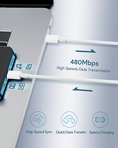 Mac Book Pro Charger - 96W USB C Charger Fast Charger for USB C Port Mac Book pro & Mac Book Air, ipad Pro, Samsung Galaxy and All USB C Device, Include Charge Cable(6.6ft)