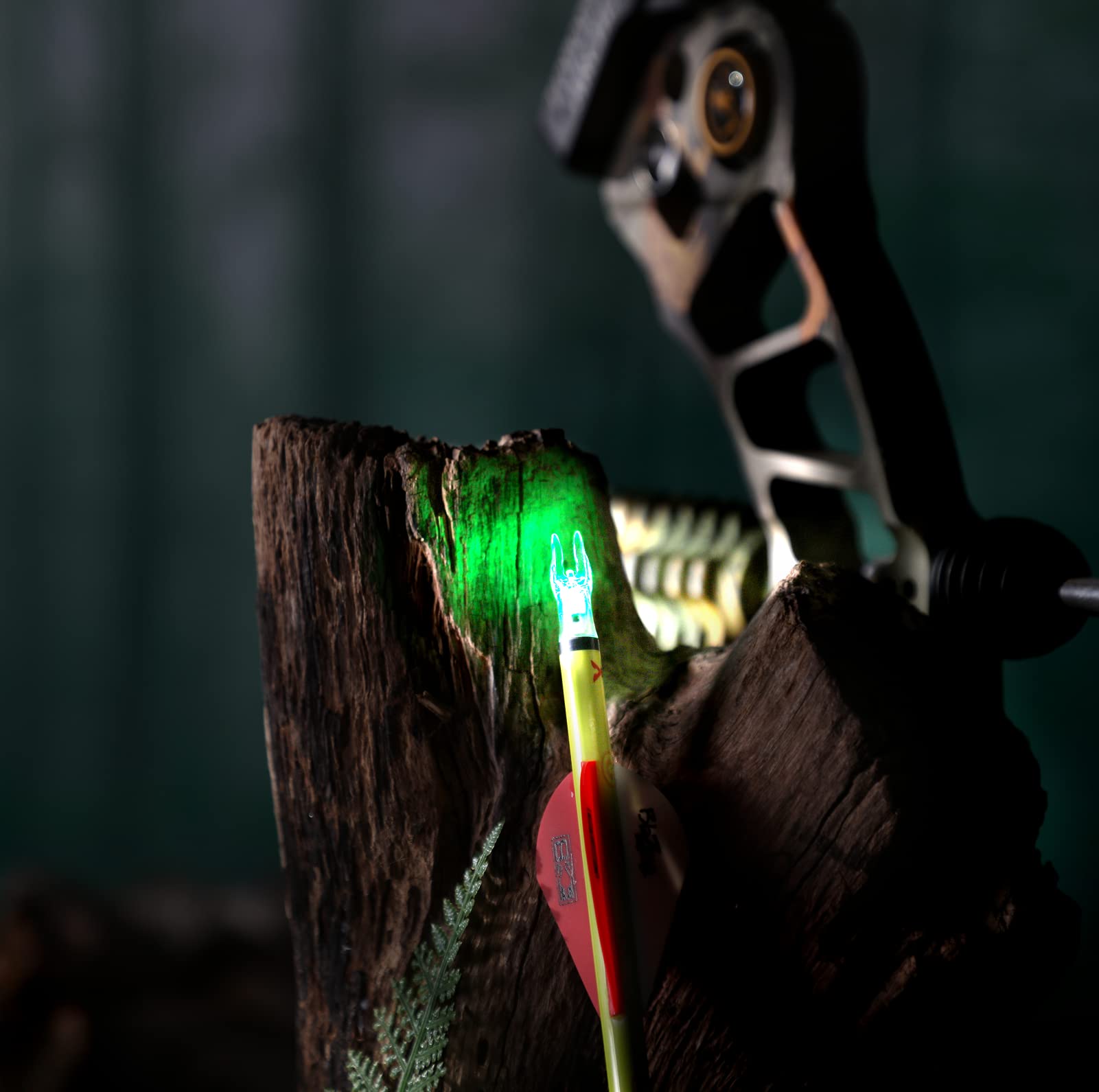 LEANPRO 6 PCS X Lighted Nocks for Arrows with .204".233".244" .246" Inside Diameter Lighted Arrow Nocks (Green)
