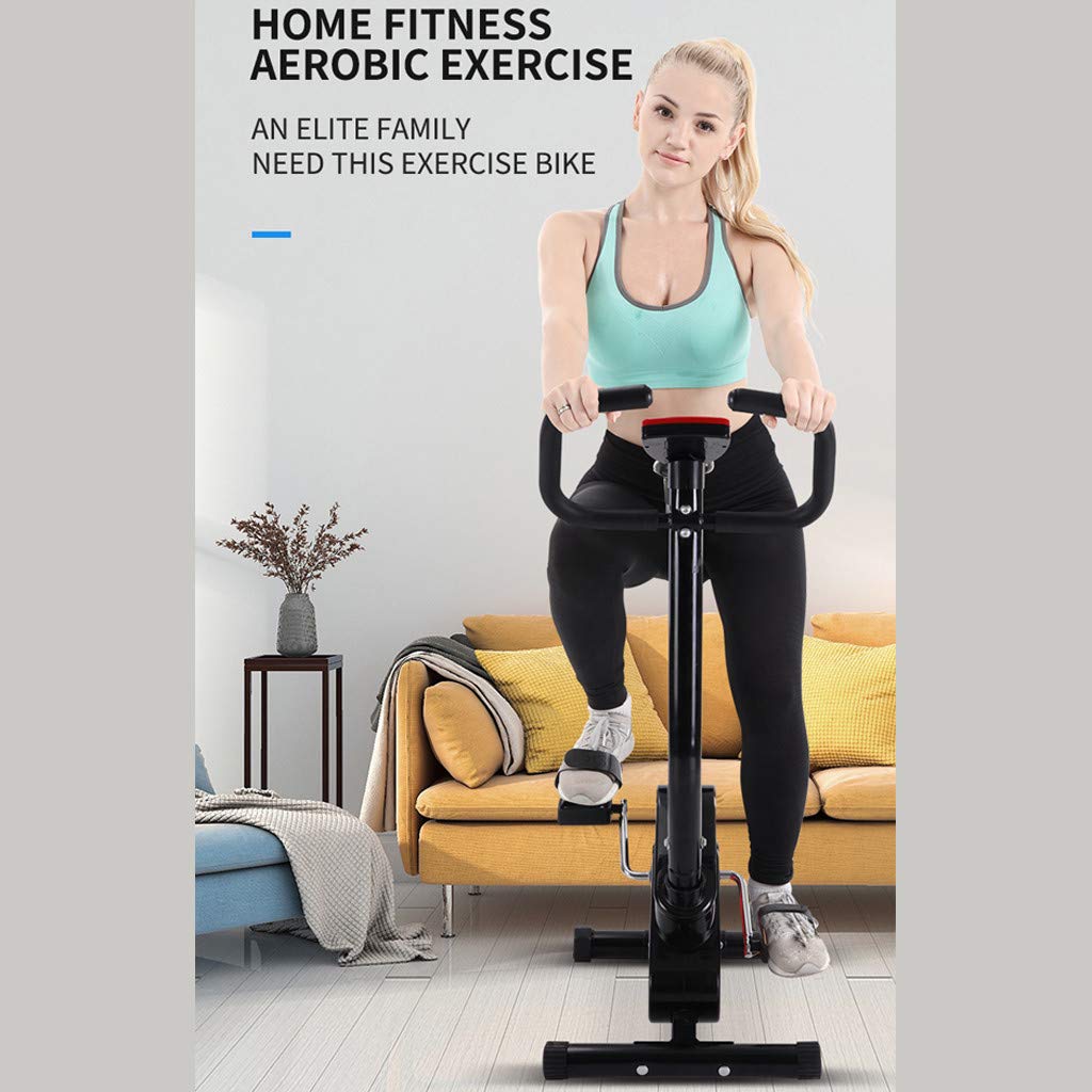 Indoor Exercise Bicycle Ultra-quiet Exercise Bike Home Bicycle Fitness Equipment for Home Gym Cardio Workout