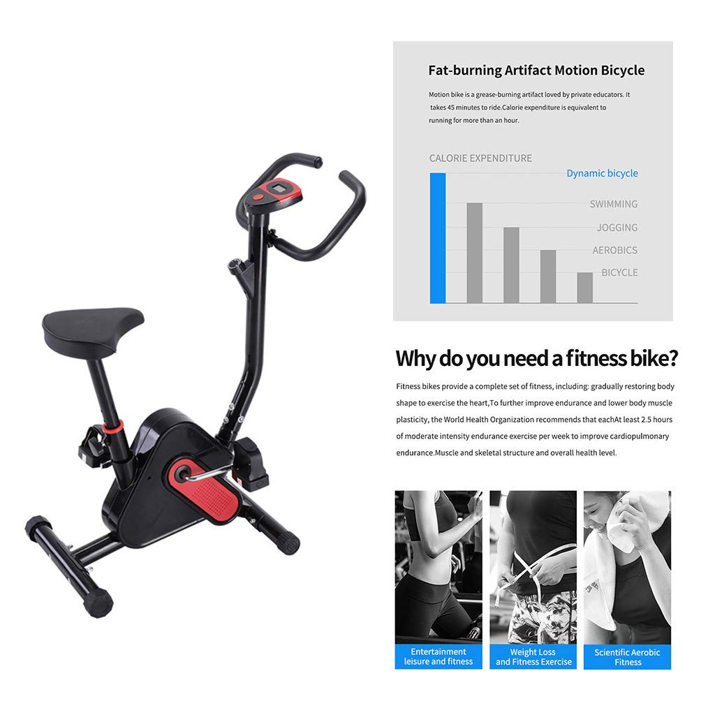 Indoor Exercise Bicycle Ultra-quiet Exercise Bike Home Bicycle Fitness Equipment for Home Gym Cardio Workout