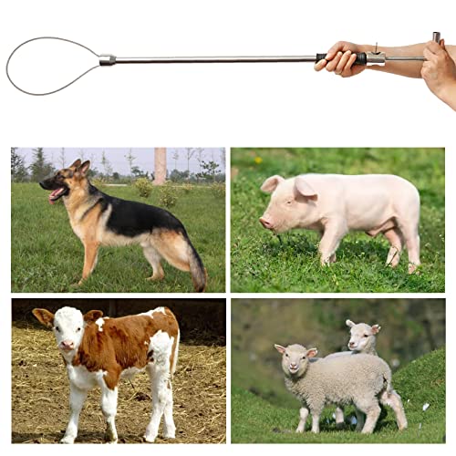 PAULOZYN Stainless Steel Hog Pig Catcher Pole Holder Control Tool Heavy Duty for Dog Pig Animals Swine Livestock
