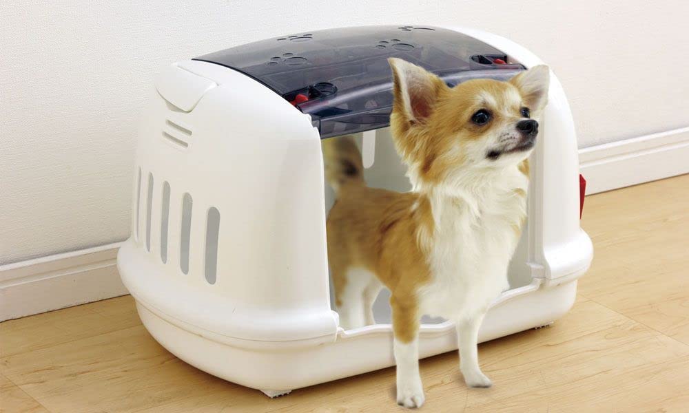 Iris Ohyama, Basket, Box, Case, Plastic (PP) Carrier Bag for Dogs, Cats, Side notches for seat Belt and Two Openings, L48 x W32.1 x H30 cm, P-HC480, White