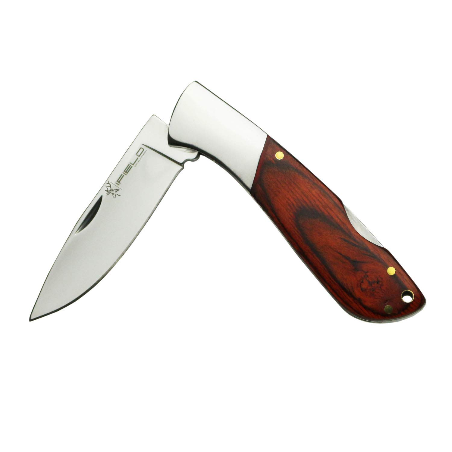 iFIELD Camper EL29045 Folding Knife, Stamina Handle, Colour Box, 3 inch. Stainless Steel Blade, Camping Tool for Fishing, Hunting, Sport Activity