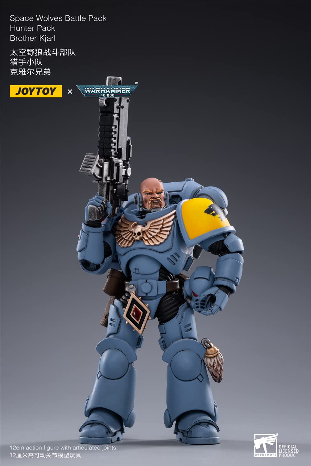 HiPlay JoyToy 1/18 Soldier Movable Figure Set of 4 - Space Wolves Hunter Pack