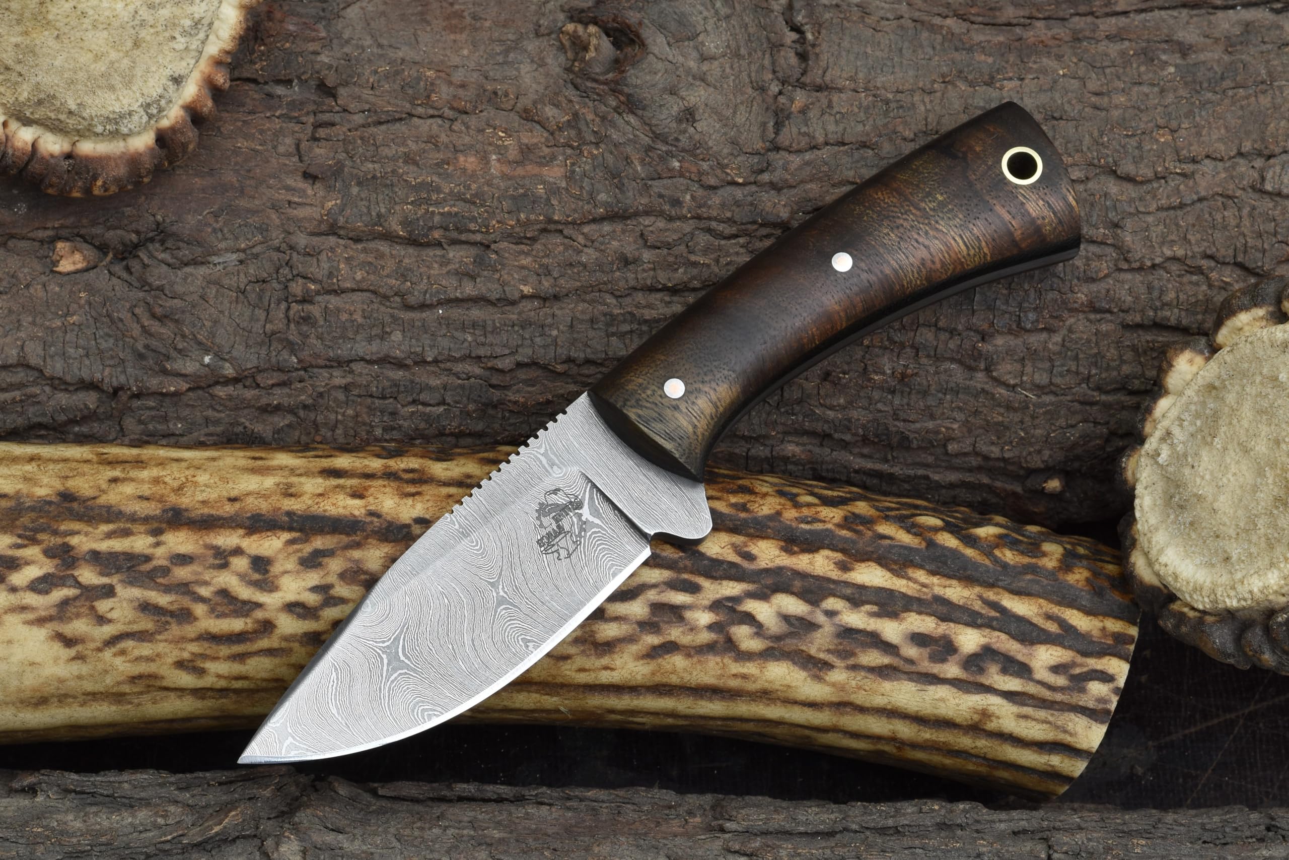 Knives Ranch Fixed Blade EDC Knife with Horizontal Carry Sheath β Small Hunting Knife β Damascus Skinning Knife β Cowboy Knife with Leather Sheath Stabilized Rosewood Handle (4402-IRW)