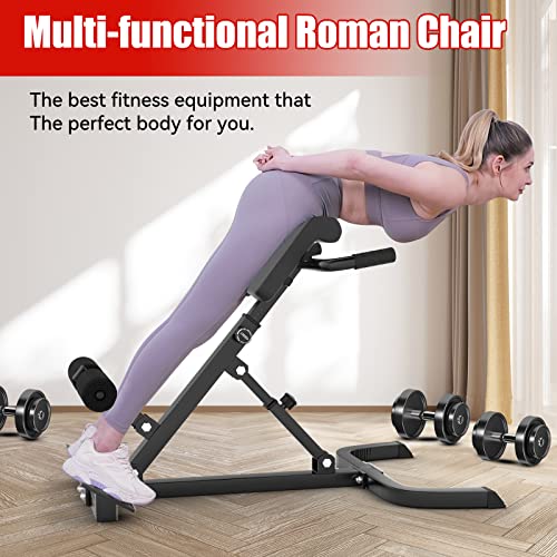 Loupusuo Roman Chair,Back Extension Bench, Adjustable Fitness Workout, Multi-Functional Ab Bench, Buttocks Machine, Leg Strength Trainer Home Men Women Full Body