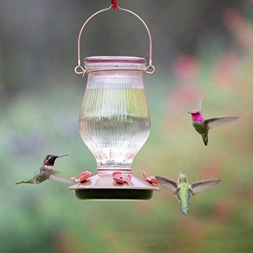 Perky-Pet 9104-2 Rose Gold Top-Fill Glass Hummingbird Feeder Rose Gold 24 oz Capacity