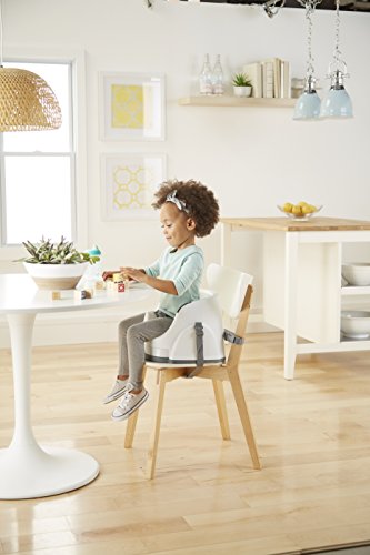 Ingenuity Baby Base 2-in-1 Seat - Peacock Blue