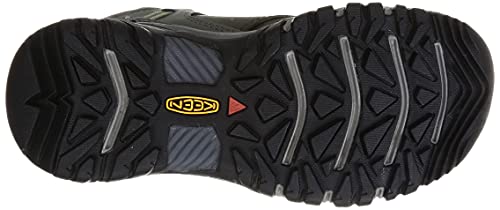 KEEN Women's Ridge Flex Mid Height Waterproof Hiking Boot, Castor Grey/Dubarry, 5.5