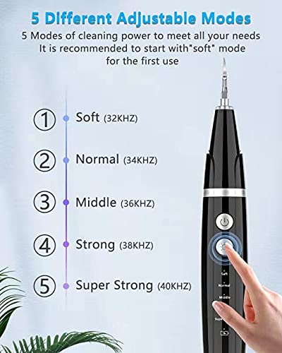 Plaque Remover for Teeth Cleaning Kit, Tartar Remover for Teeth Dental Tools with LED 3 Adjustable Modes 2 Replaceable Clean Heads Safe for Adult Kids Blue
